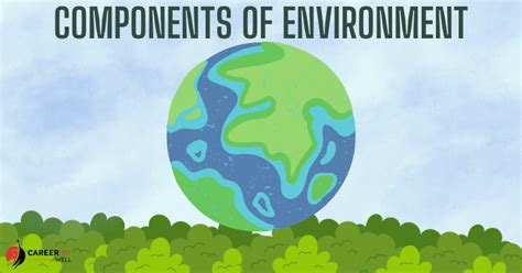 Components Of Environment Careerbywell