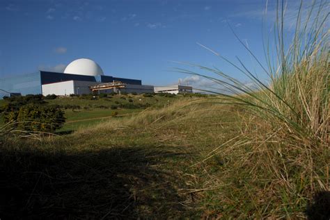 Biodiversity Benchmark The Wildlife Trusts