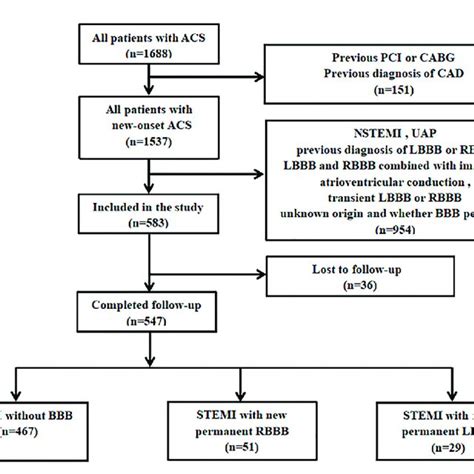 Flowchart Of Patient Enrollment Download Scientific Diagram