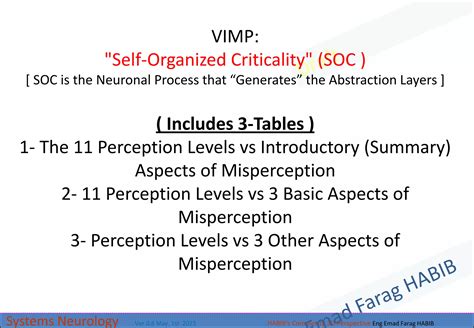 Research Issue Human Brain Perceptual Control Theory Pct 11 Layers Missing Some Layer