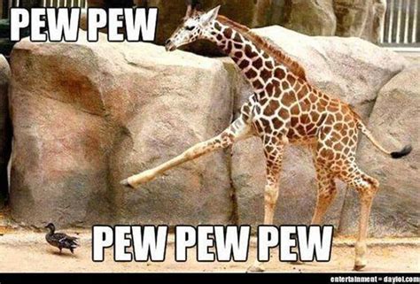 The 28 Funniest Giraffe Memes Ranked