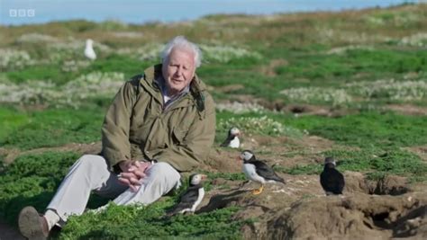 Sir David Attenboroughs 100th Birthday To Be Honoured With Three Bbc