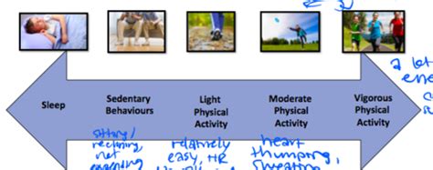 11 Movement Continuum Flashcards Quizlet