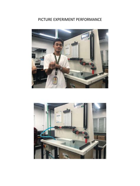 Picture Experiment Performance Pdf