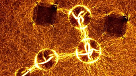 How To Draw A Microscope Step By Step Microscope Detective