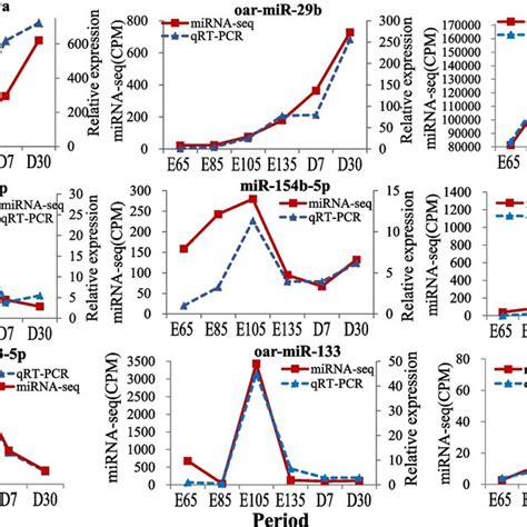 Results Of Rt Qpcr And Mirna Seq The X Axis Represents The Time Download Scientific Diagram