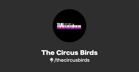 The Circus Birds Instagram Facebook Tiktok Linktree