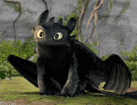 Stitch And Toothless  At Loretta Hensley Blog