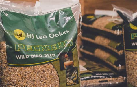 Hj Lea Oakes Trcreative