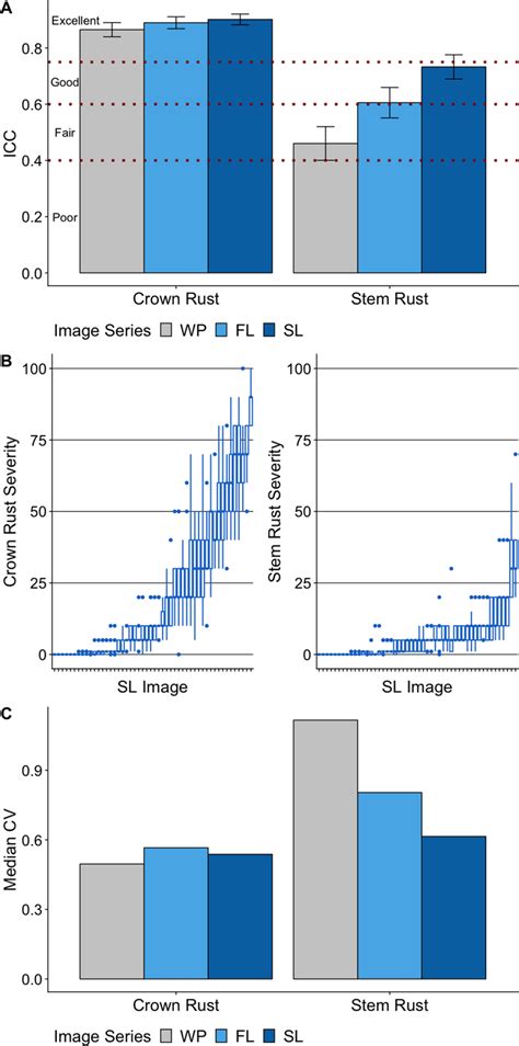 Assessment Of Rater N 9 Variability For Crown And Stem Rust A