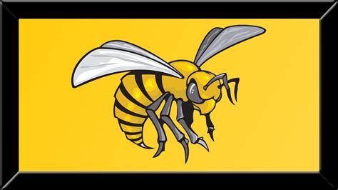 Thomas Scores 19 As Bethune Cookman Takes Down Alabama State 67 64