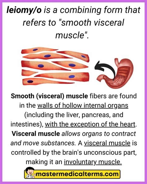 Leiomy O Master Medical Terms