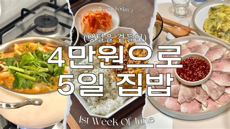 4만원으로 일주일 집밥 해먹기 6월1주차 식비절약브이로그 집밥브이로그 Youtube