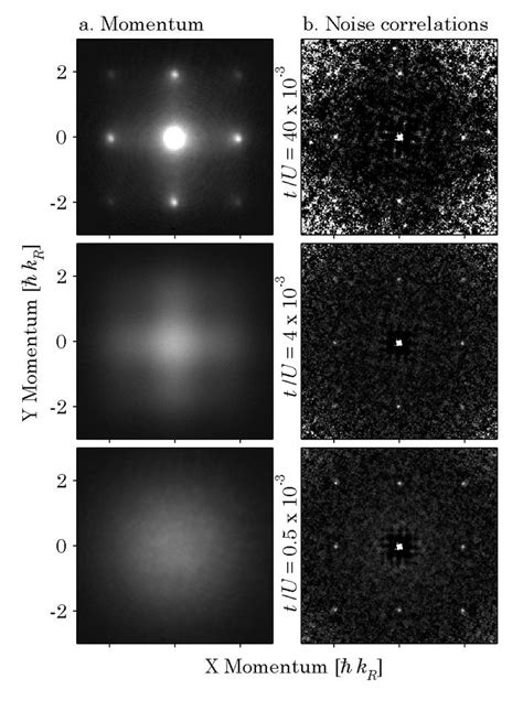 Quantum Computers Bose Einstein Condensate