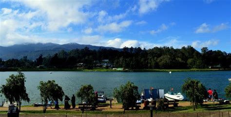 The Best Color Combination Cheat Sheet For You Zestvine 2025