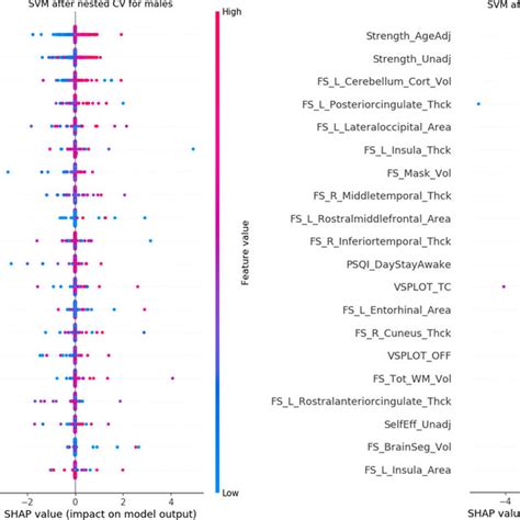 Summary Plot Of SHAP Values For Classifying Males And Females Using SVM Download Scientific