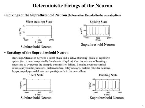 Ppt Noise Induced Bursting Synchronization In A Population Of Coupled Neurons Powerpoint