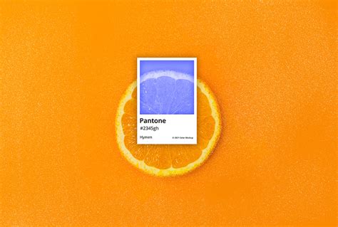 What Is A Hymen No It S Not Proof Of Virginity