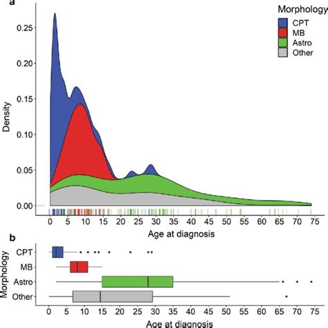 Schematic Representation Of P53 Domains The P53 Protein Structural Download Scientific Diagram