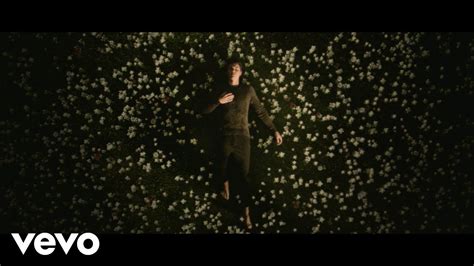 Shawn Mendes In My Blood Official Music Video Artofit