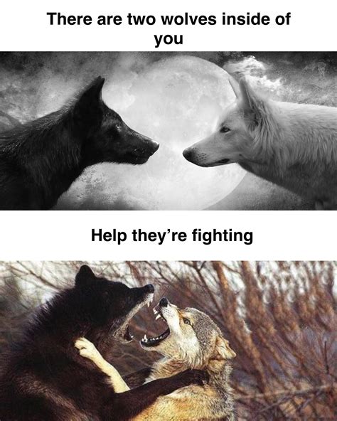 Two Wolves Fighting Inside You