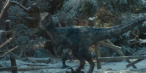 Why Is Blue Blue Jurassic World At Ellen Franklin Blog