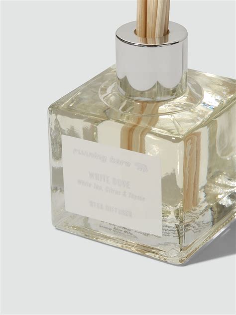 Fragrance Diffuser And Scented Reed Diffusers Running Bare