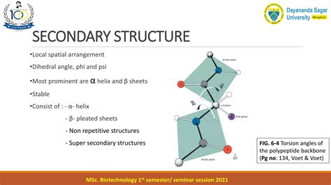 Types Of Secondary Structure And Super Secondary Structure Of Protein