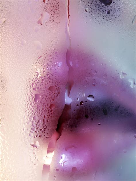 Sex Work Feminist Art Radical Politics ELEPHANT