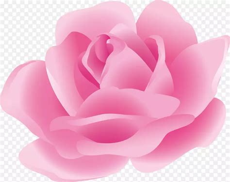 卡通花生油卡通花艺png图片素材下载图片编号yvmbjzbq 免抠素材网