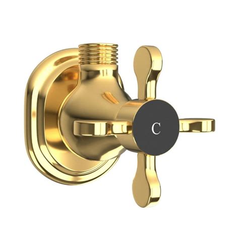 Full Gold Angle Valve