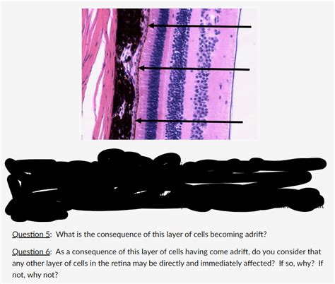 solved question 5 what is the consequence of this layer of
