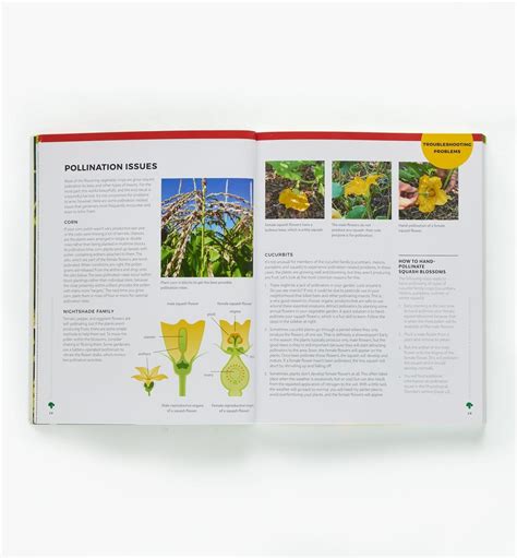 The Vegetable Garden Problem Solver Handbook Lee Valley Tools