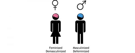 Sexual Differentiation Foundations Of Neuroscience