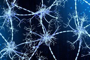 Liquid Neural Networks Definition Applications Challenges Unite AI