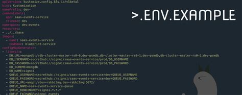 5 things to know about adding variables in env