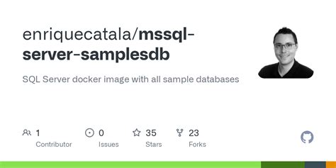 Github Enriquecatalamssql Server Samplesdb Sql Server Docker Image With All Sample Databases