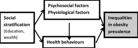 6 Causal Pathways Explored In This Thesis Download Scientific Diagram