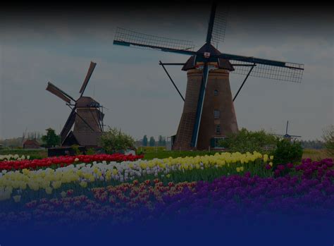 Surgical Neurology International