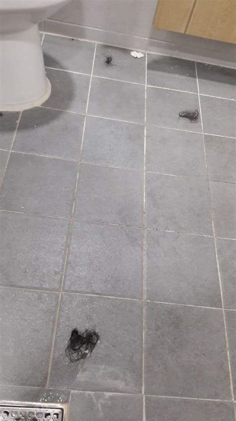 거실에 똥 싼 룸메 사건 총정리 혐오주의 인스티즈 Instiz 인티포털 카테고리