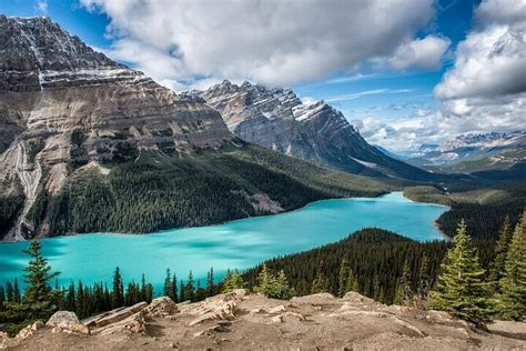 Buy Along Icefields Parkway Peyto Lake Bow Lake And Columbia Icefield