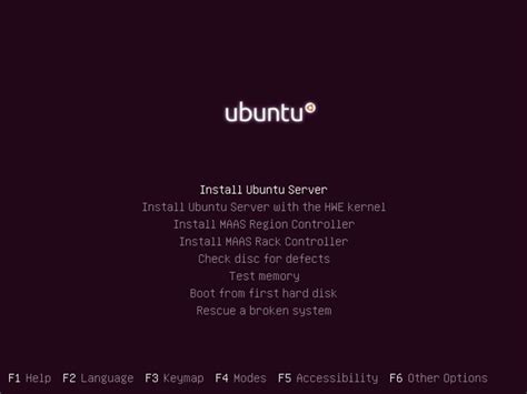 Install Ubuntu Server 18044 On Encrypted Disks With Raid 1 Grub And