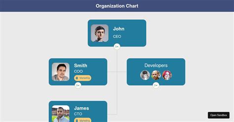 D3 Org Chart Examples Codesandbox