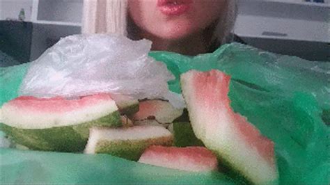 My Cycle Bin Small Version Goddess Nika Clips4sale