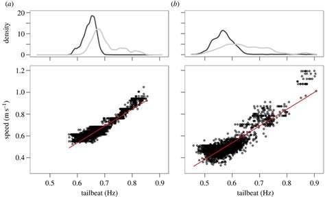 Tail Beat Frequencies From Shortfin Mako Sharks Isurus Oxyrinchus 01