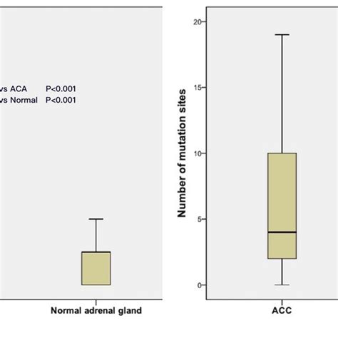 Kruskalwallis Test Box Plot Of Mutated Target Genes And Mutation Sites