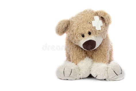 Hurt Teddy Bear Stock Photo Image Of Isolated Stuffed