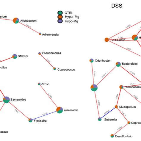 Dietary Mg Content Modulates Gut Bacterial Interactions Network Download Scientific Diagram