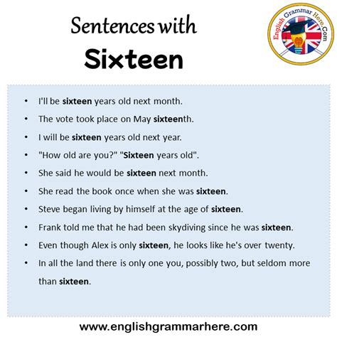 Sentences With Sixteen Sixteen In A Sentence In English Sentences For
