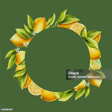 밝은 녹색 잎과 꽃이 있는 신선한 익은 레몬이 있는 수채화 프레임 녹색 배경에 손으로 그린 컷 감귤류 슬라이스 그림 디자이너 엽서 파티 초대장 포장지 표지 포스터 및 직물용